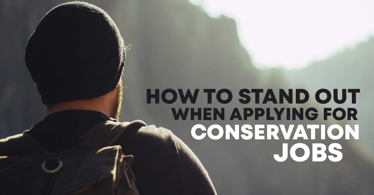 Ten tips for finding a job in conservation